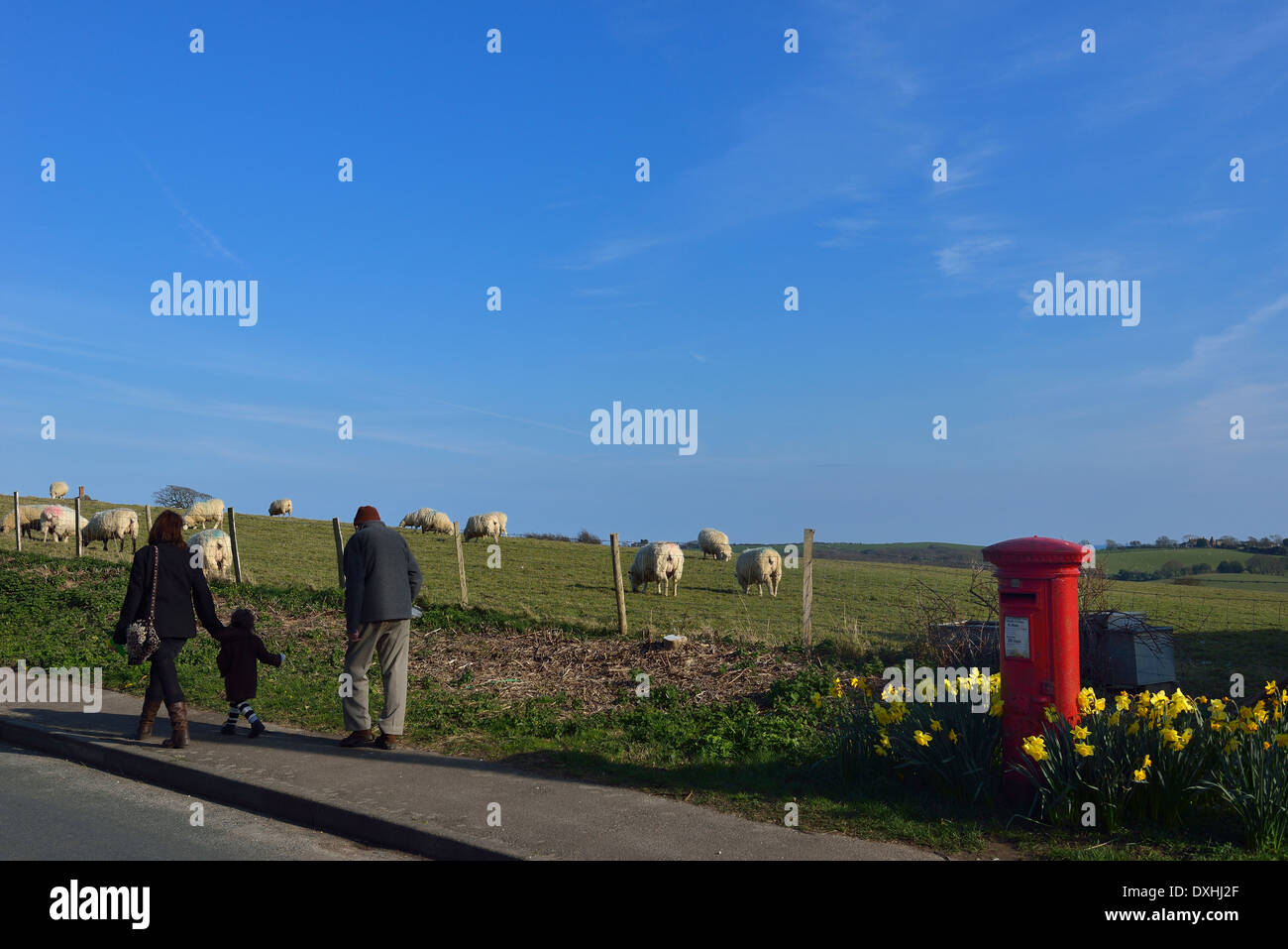 Pett village east sussex uk hi-res stock photography and images - Alamy