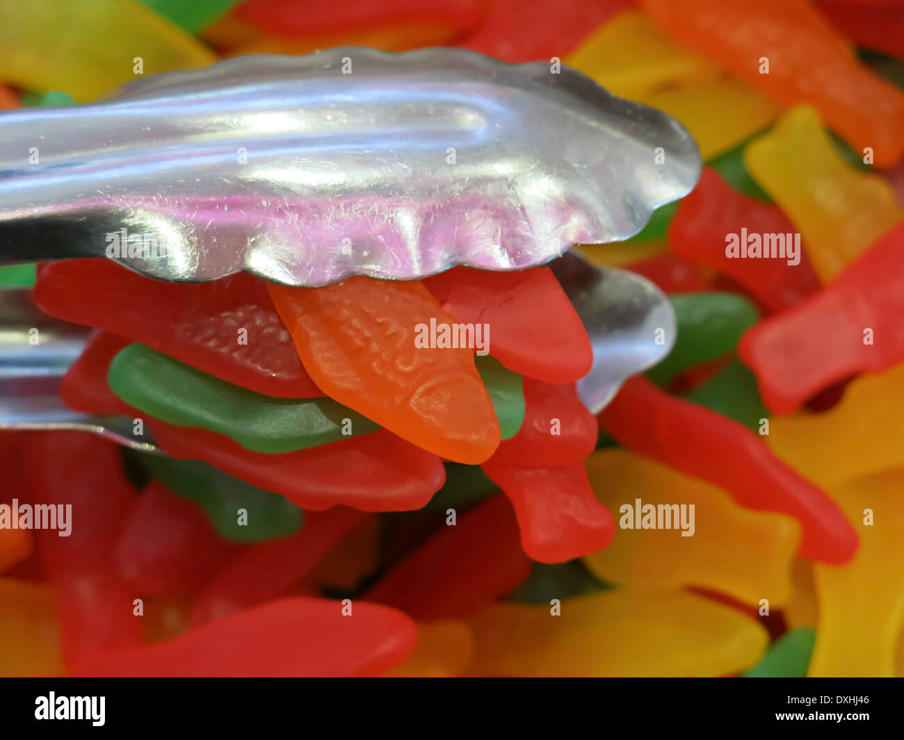 Gummy Candy Fish Picked from a Bulk Candy Bin, USA Stock Photo - Alamy