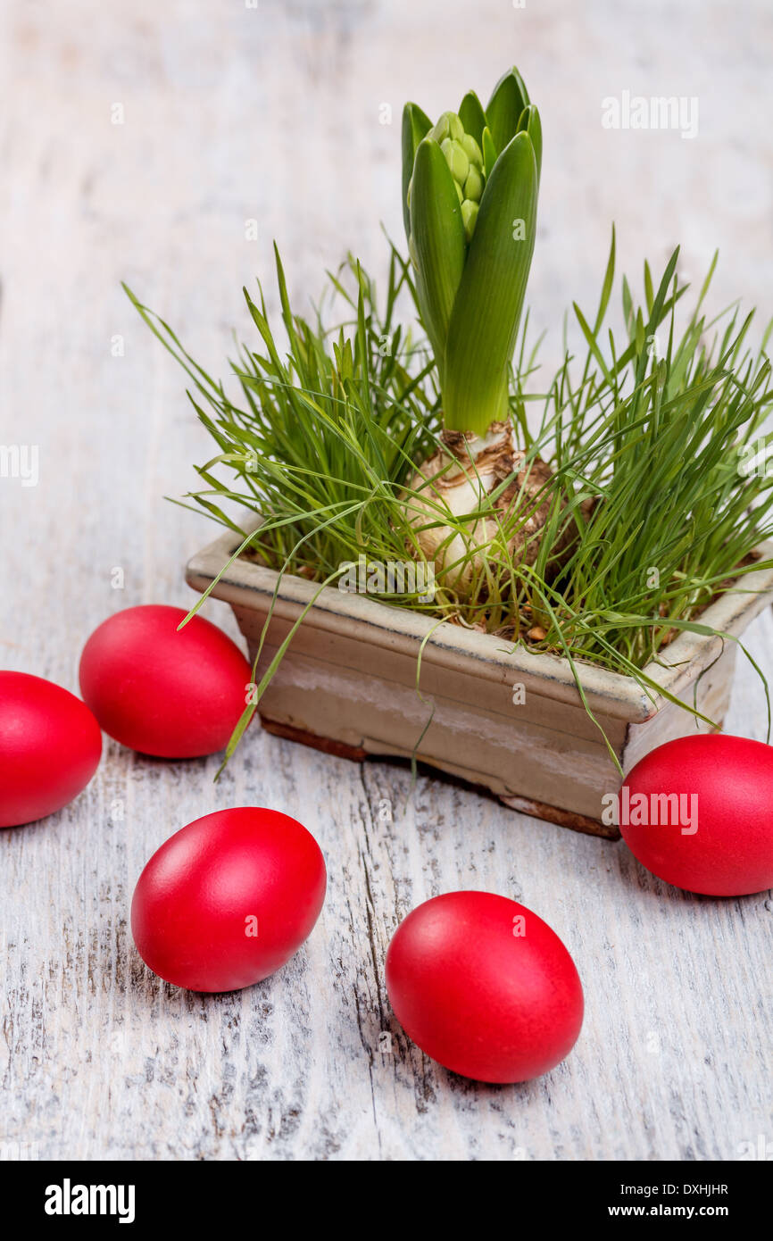 Easter red eggs and spring flower hyacinth Stock Photo - Alamy