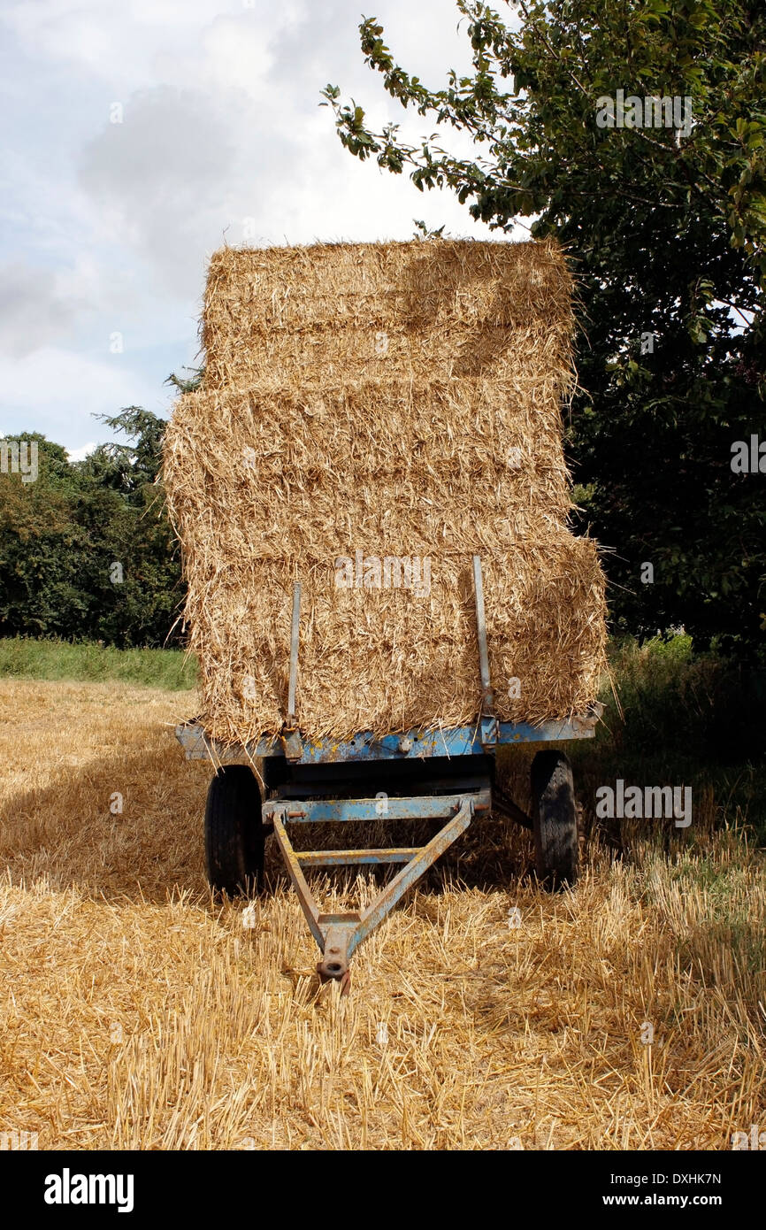 Stacked trailers hi-res stock photography and images - Alamy