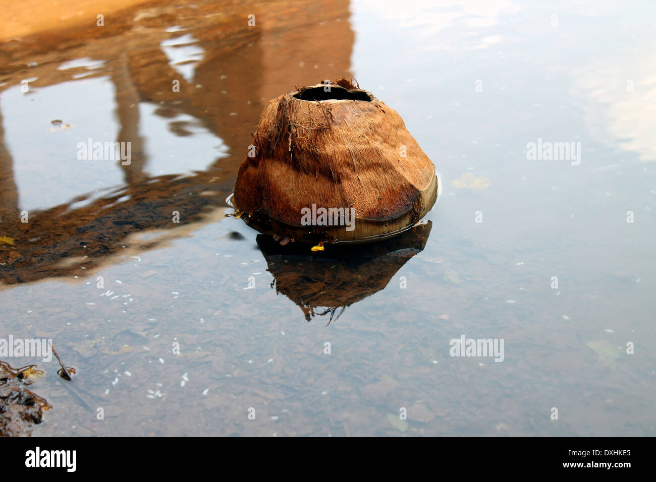 Empty coconut shell hi-res stock photography and images - Alamy