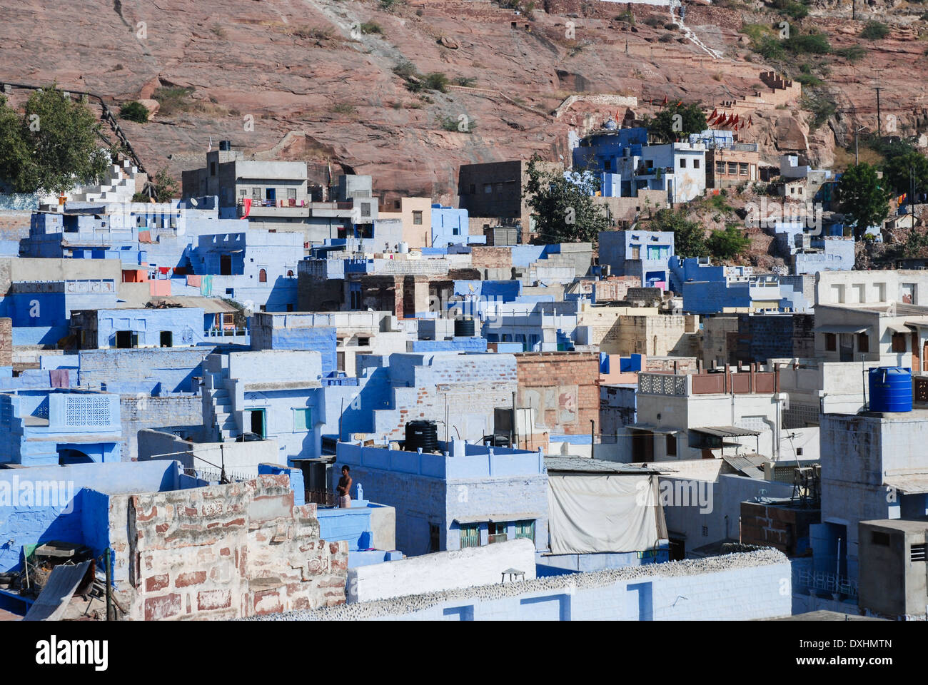 View of Jodhpur, the Blue City, Rajasthan, India Stock Photo - Alamy