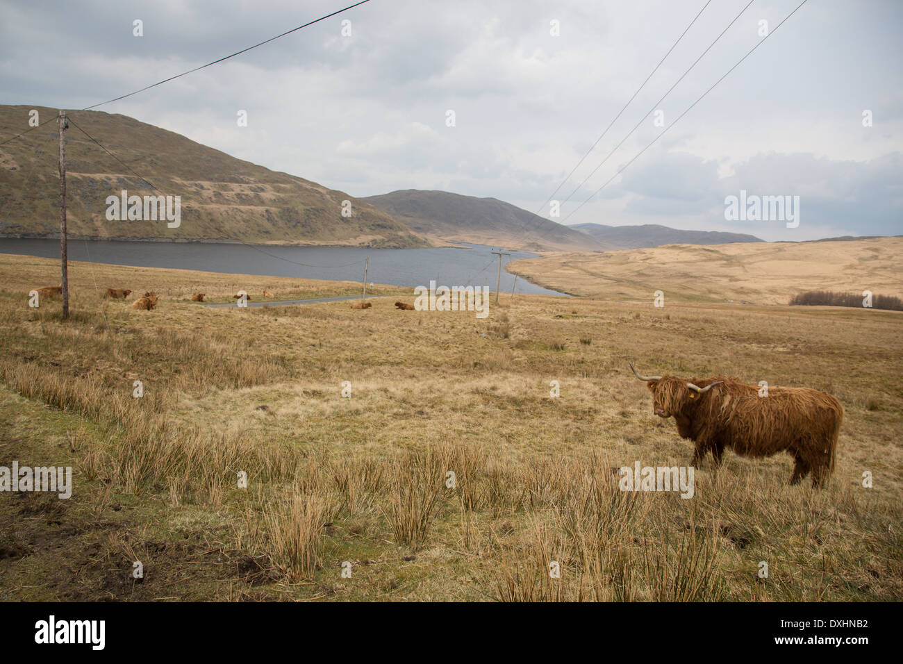 Pumlumon wales hi-res stock photography and images - Alamy