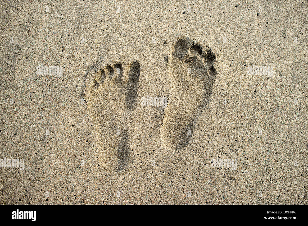 Footprints in sand Stock Photo - Alamy