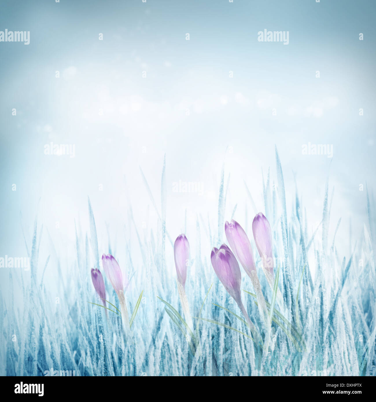 Design flowers background. Spring or summer floral nature background ...