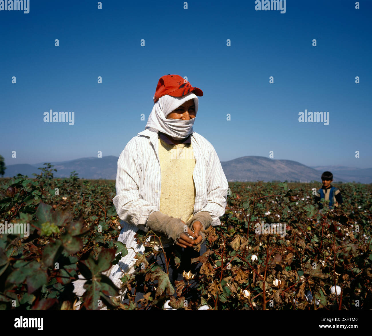 Milas turkey hi-res stock photography and images - Alamy