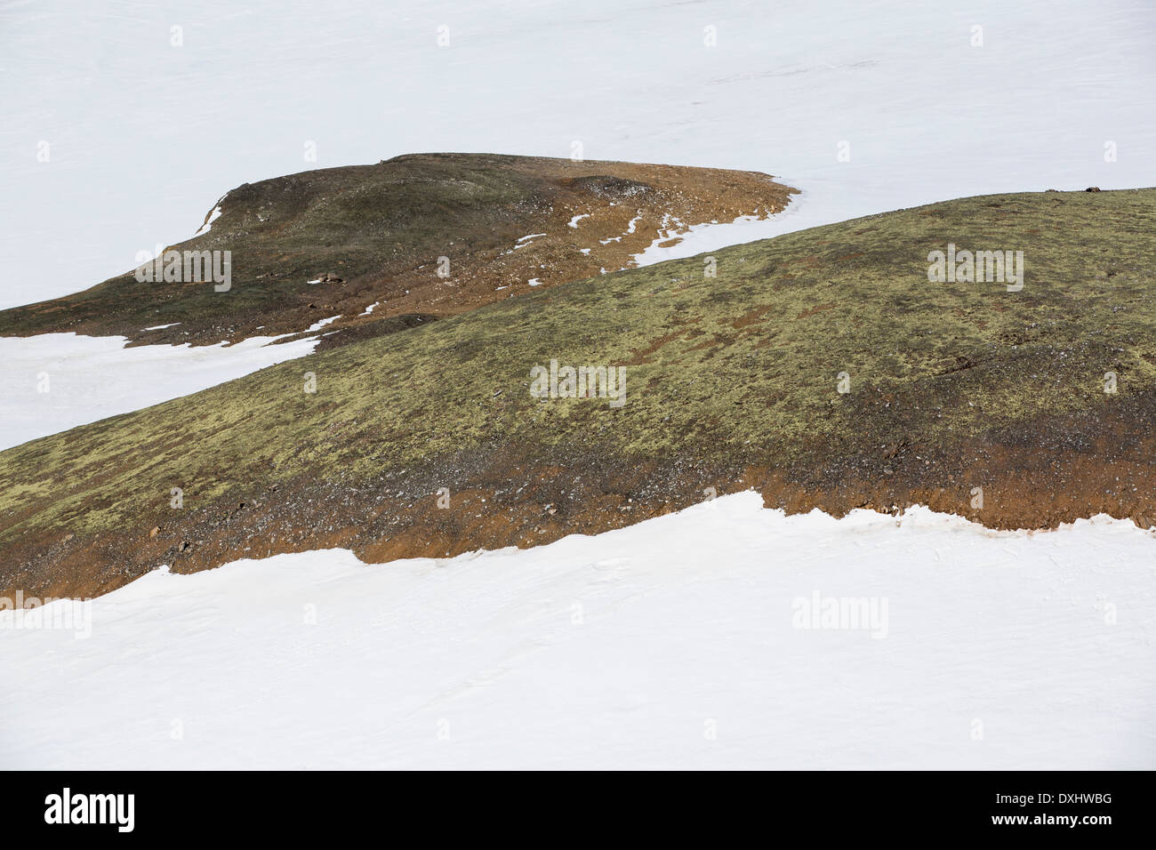 Moss covered bare ground being revealed by retreating snow and ice on ...