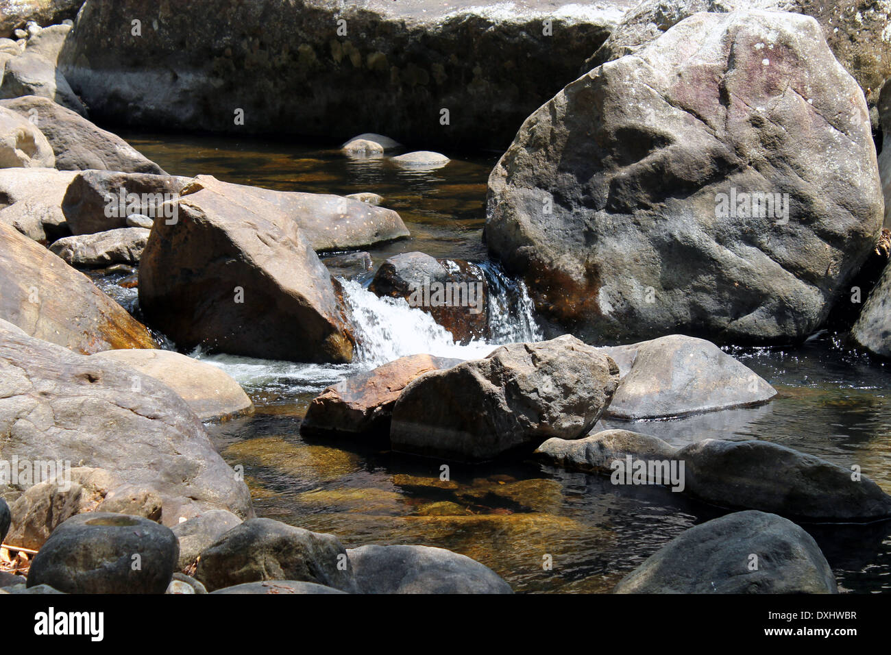 River kerala hi-res stock photography and images - Alamy