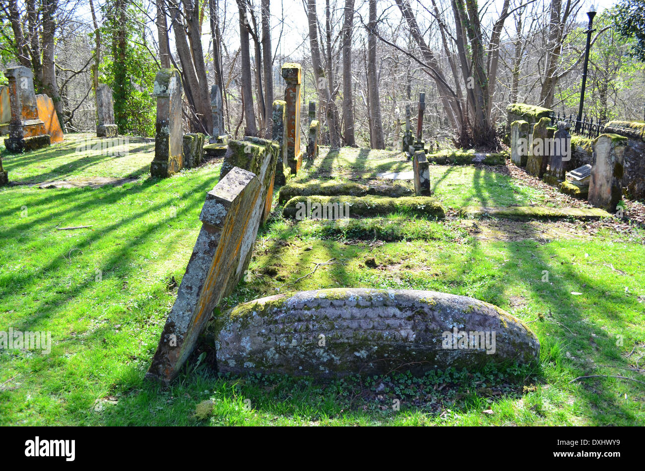 Tree shadows cast in old graveyard at Luss, Scotland Stock Photo - Alamy