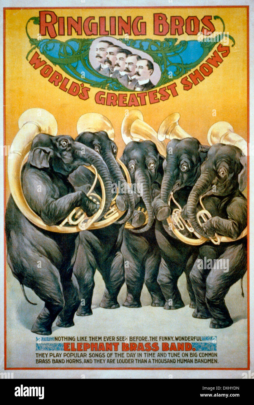 Ringling Brothers Accident