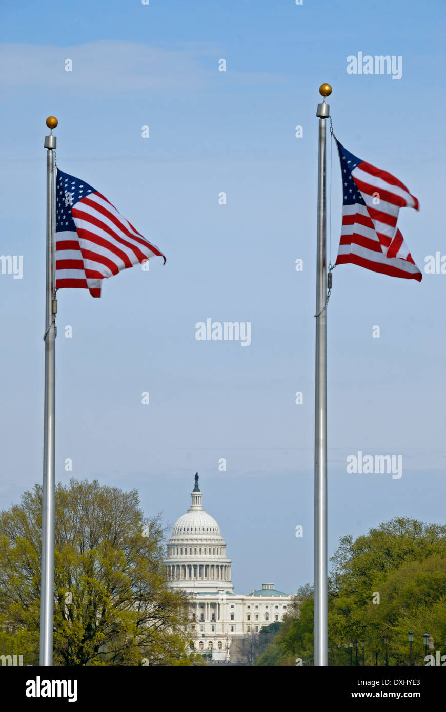 United States Capitol Building in Washington, DC as seen through the US ...
