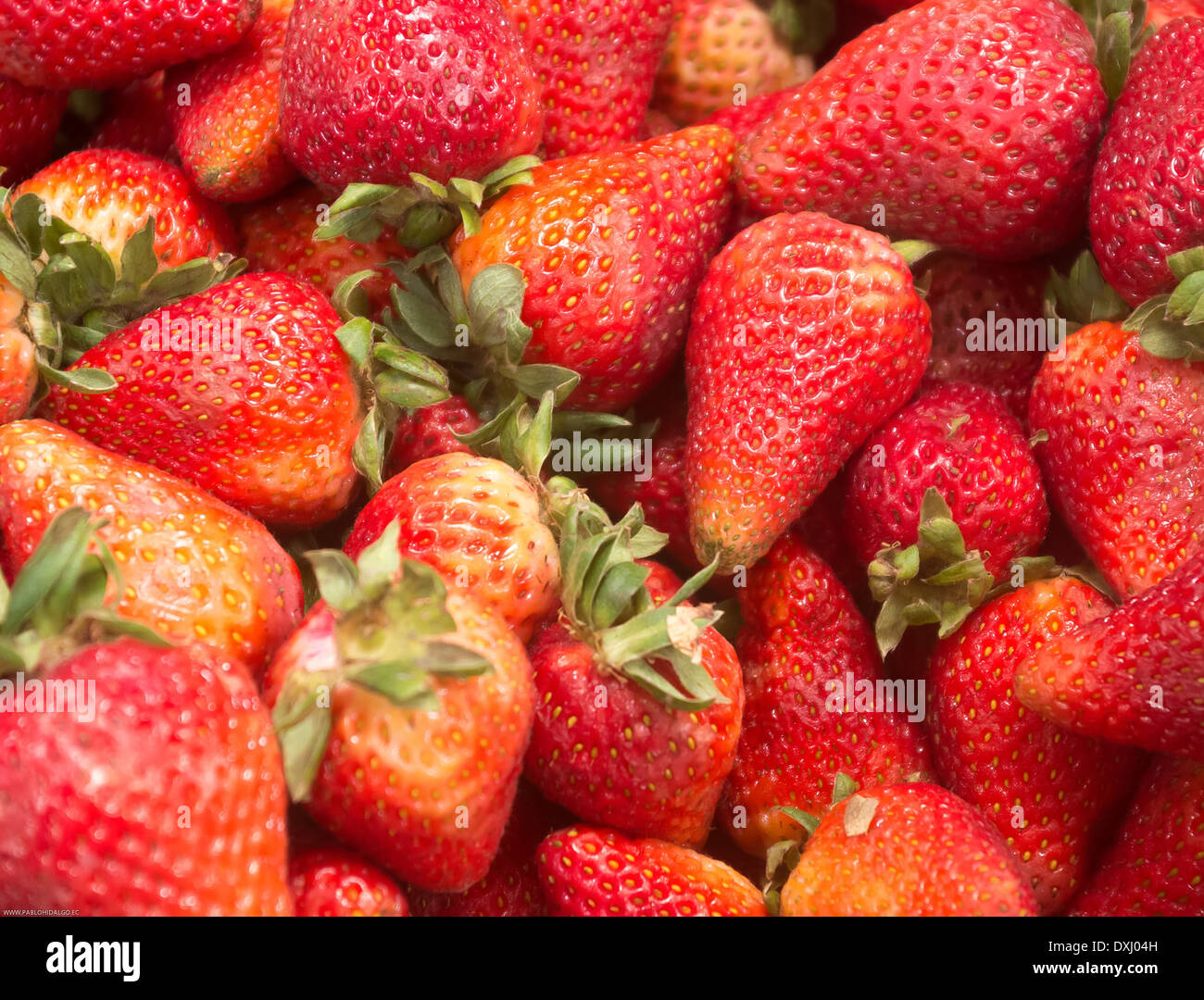 Strawberry - full frame Stock Photo - Alamy