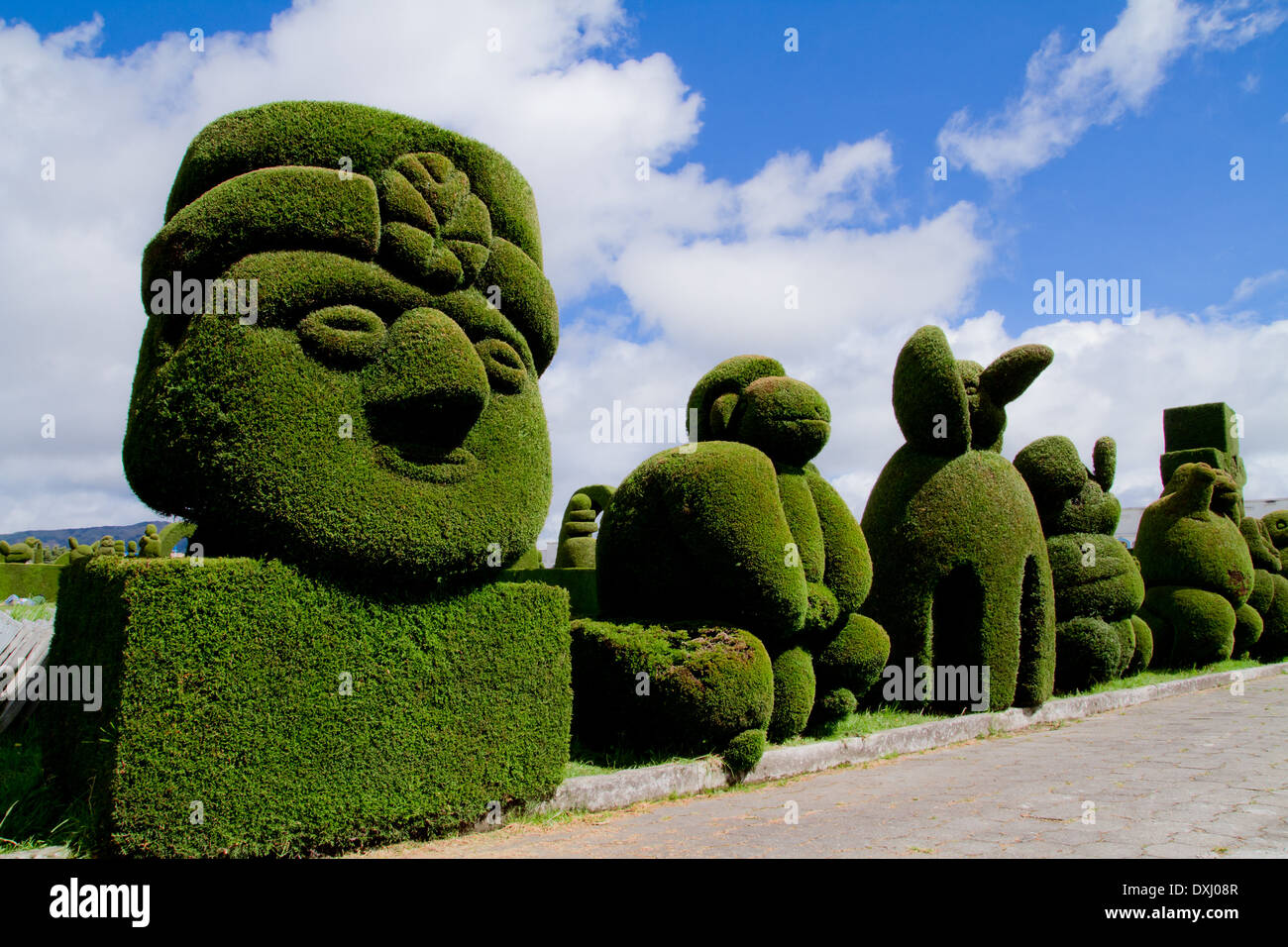 sculpted trees topiary, Tulcan Ecuador Stock Photo - Alamy