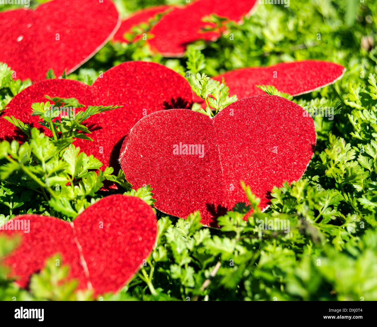 Happiness heart spring Stock Photo - Alamy