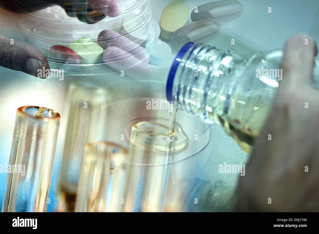 Adding agar fluid from bottle to test tubes in laboratory Stock Photo ...