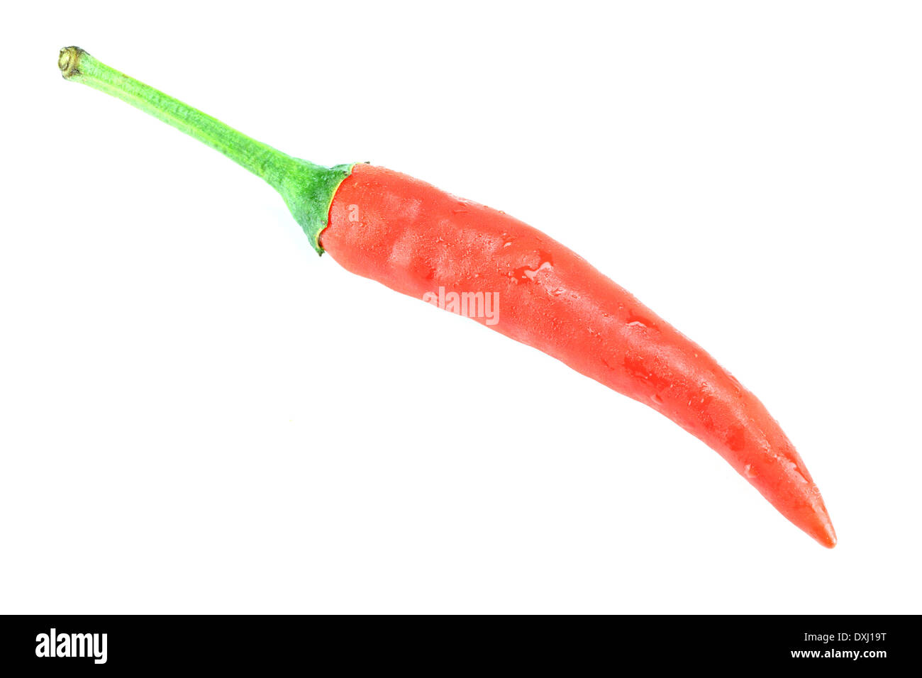 Chili peppers isolated on white background Stock Photo - Alamy