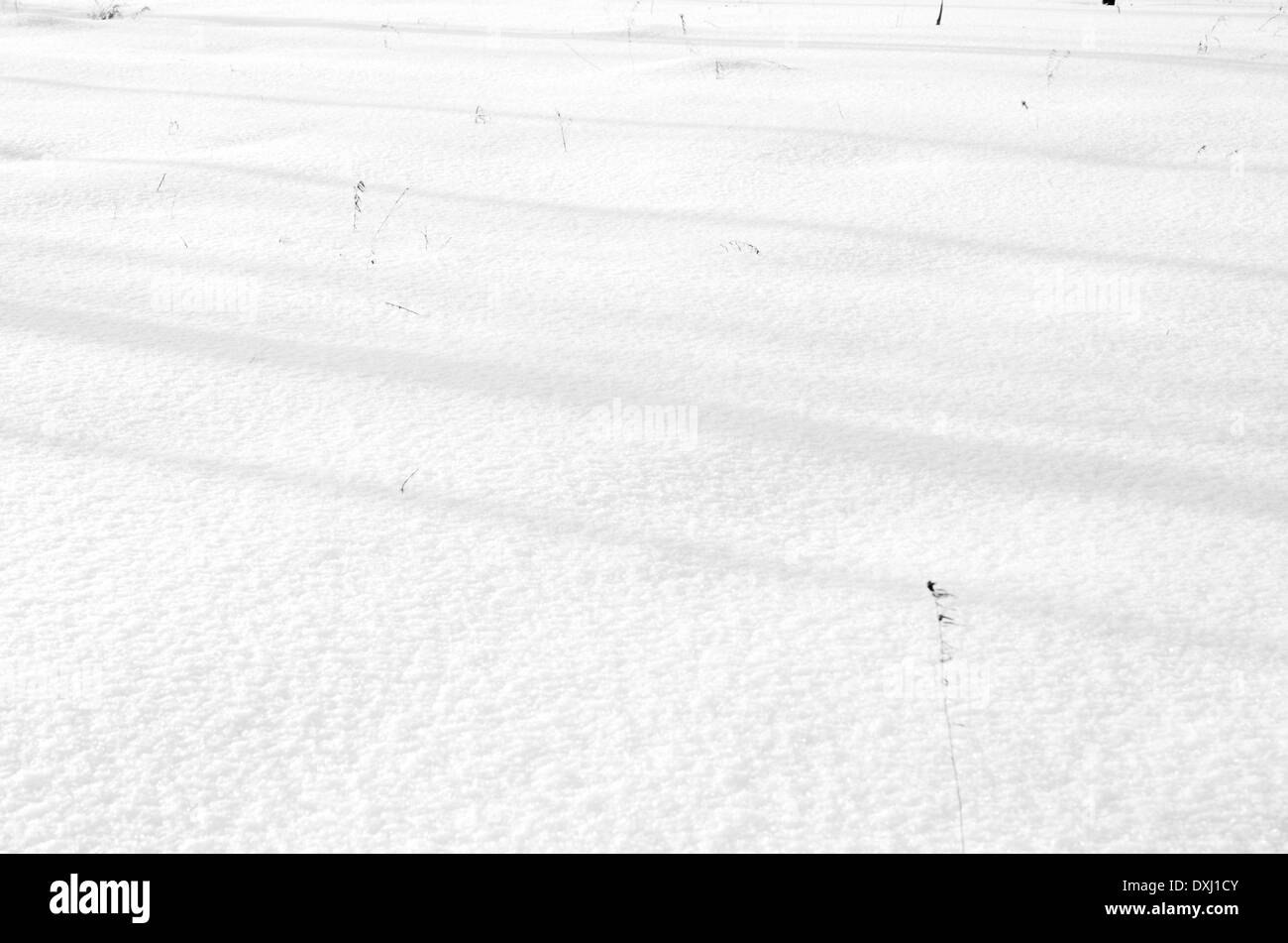 Shiny snow Black and White Stock Photos & Images - Alamy