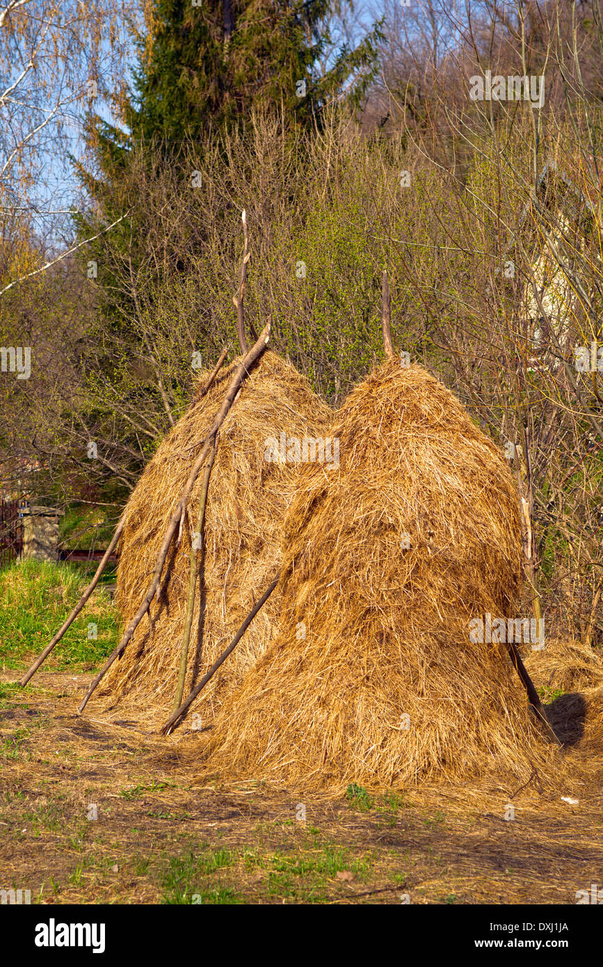 Old traditional hay stack as typical rural scene Stock Photo - Alamy