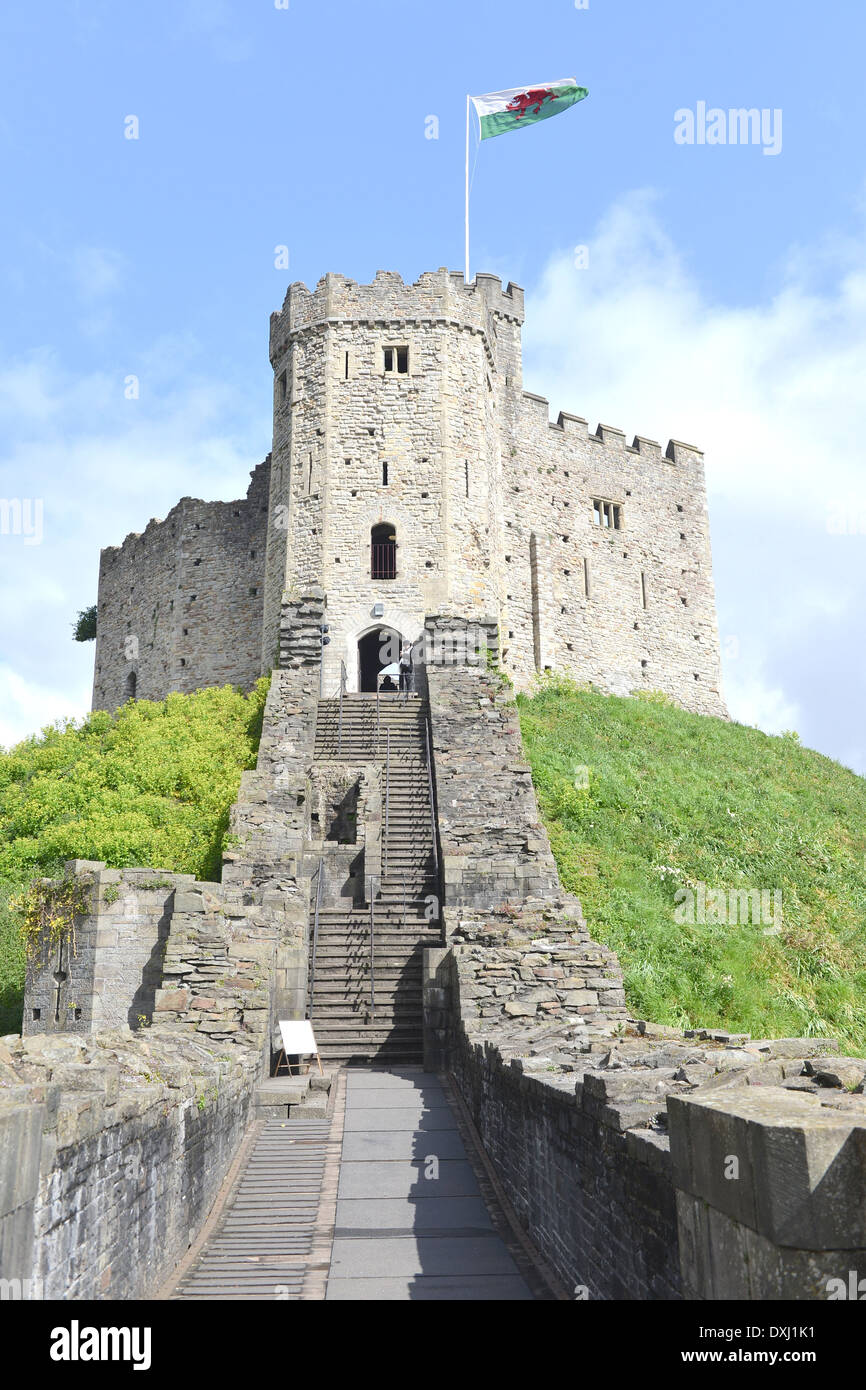 Cardiff Castle from front displaying the Welsh Flag Stock Photo - Alamy