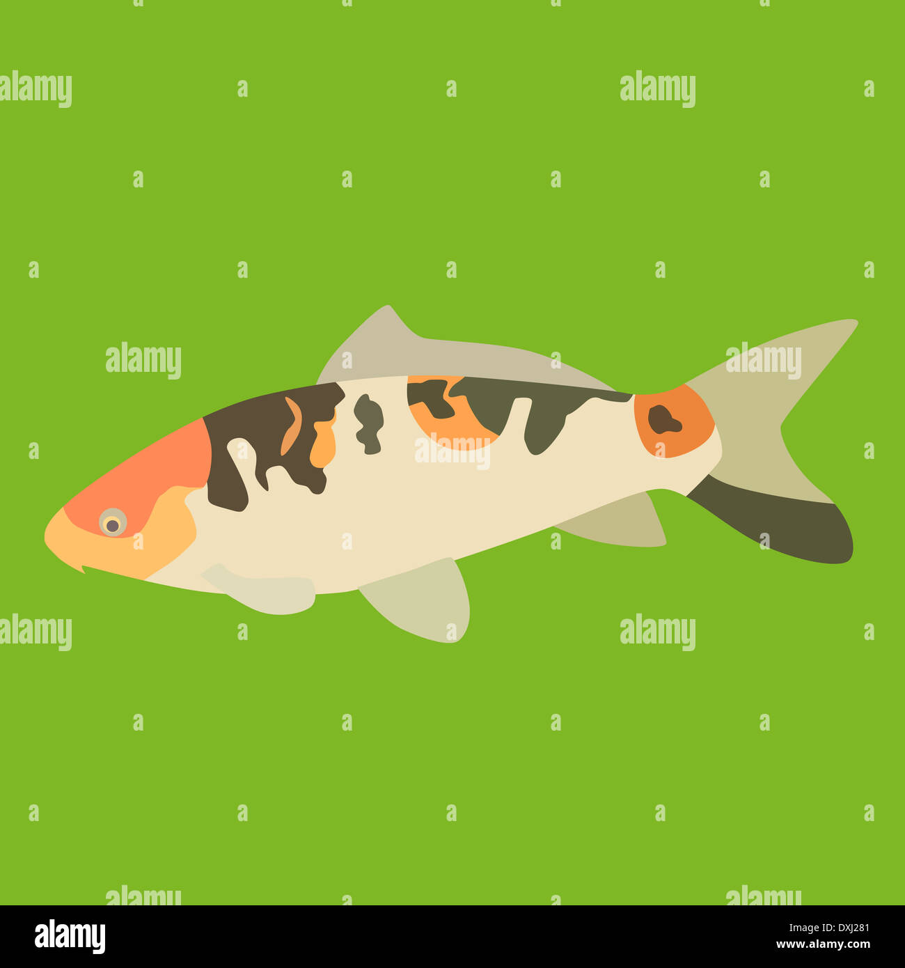 Illustration of fancy carp Stock Photo - Alamy