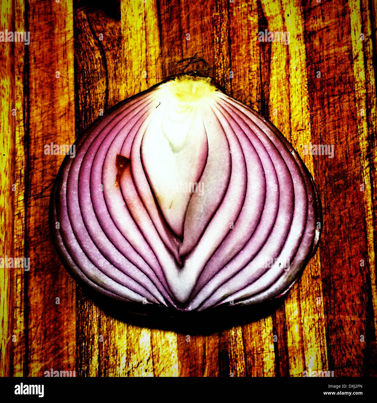 Section single red onion sliced hi-res stock photography and images - Alamy