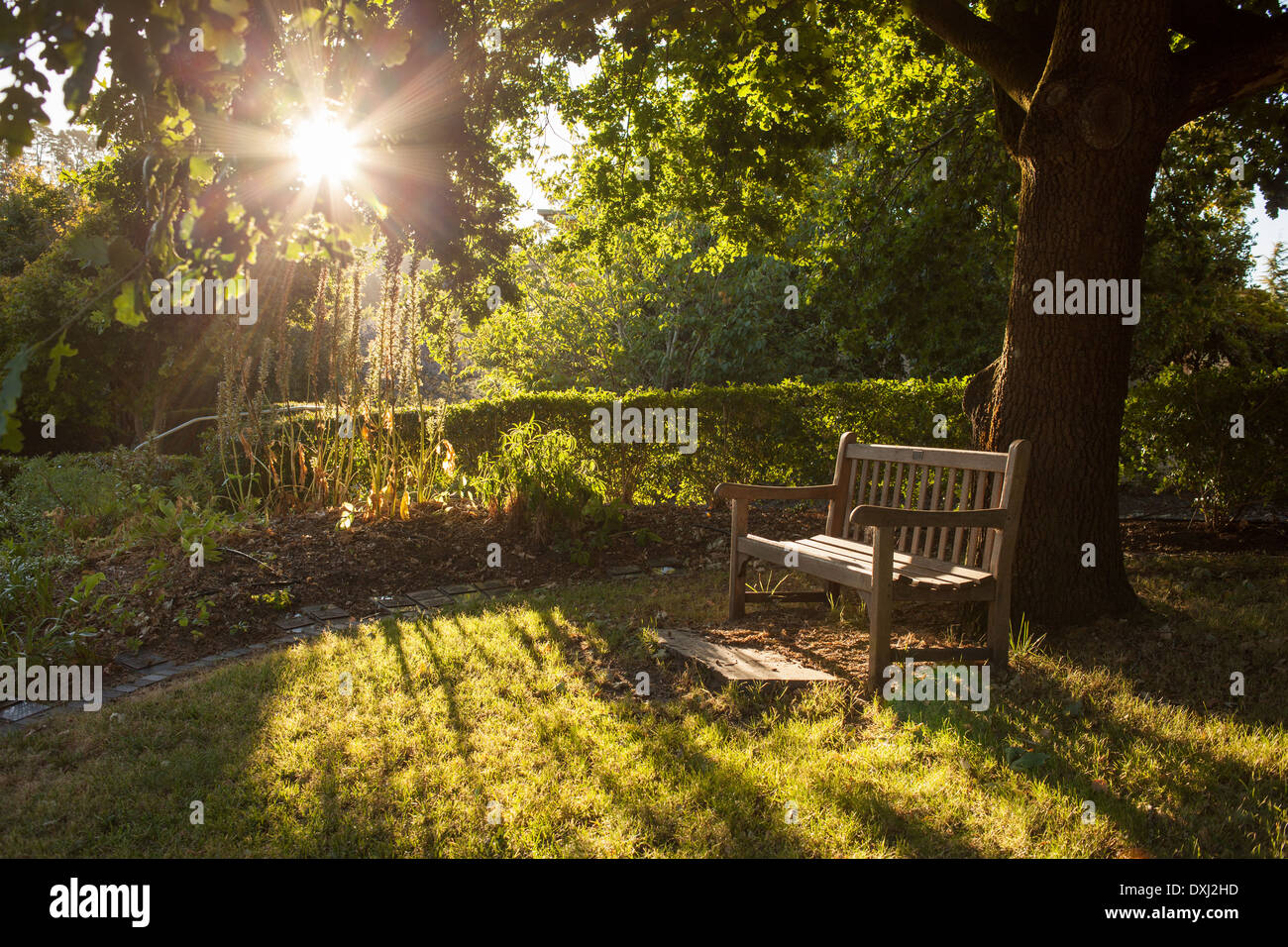 Jesus on a bench hi-res stock photography and images - Alamy