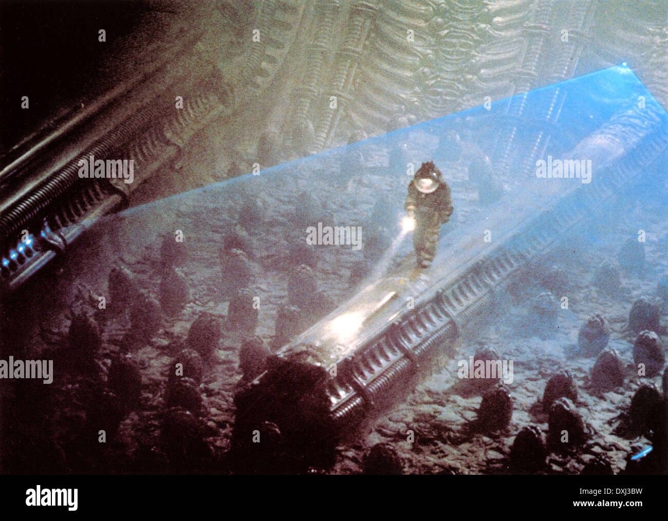 1979 the picture hi-res stock photography and images - Alamy