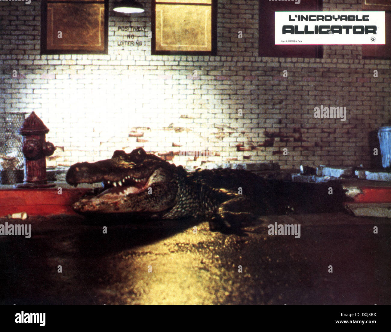 Alligator film hi-res stock photography and images - Alamy