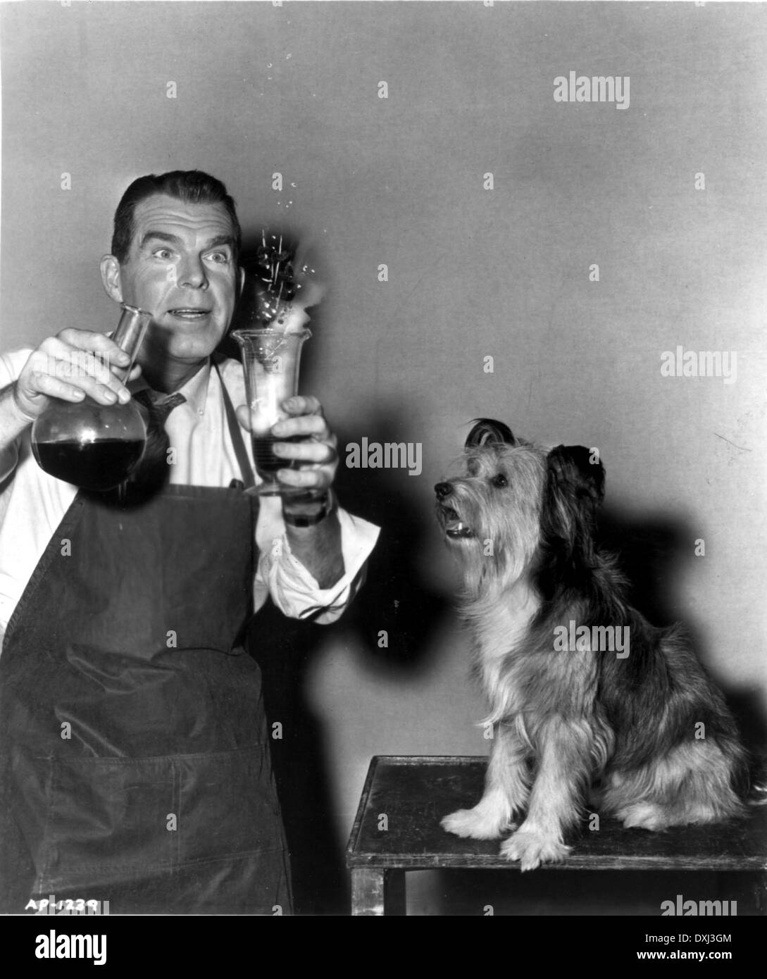 Absent minded Black and White Stock Photos & Images - Alamy