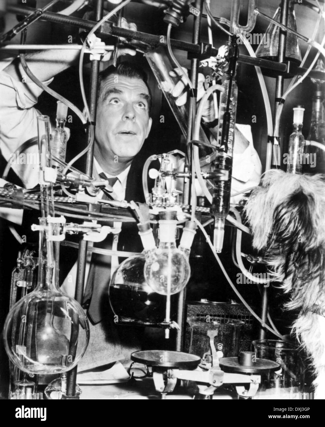 The professor movie hi-res stock photography and images - Alamy