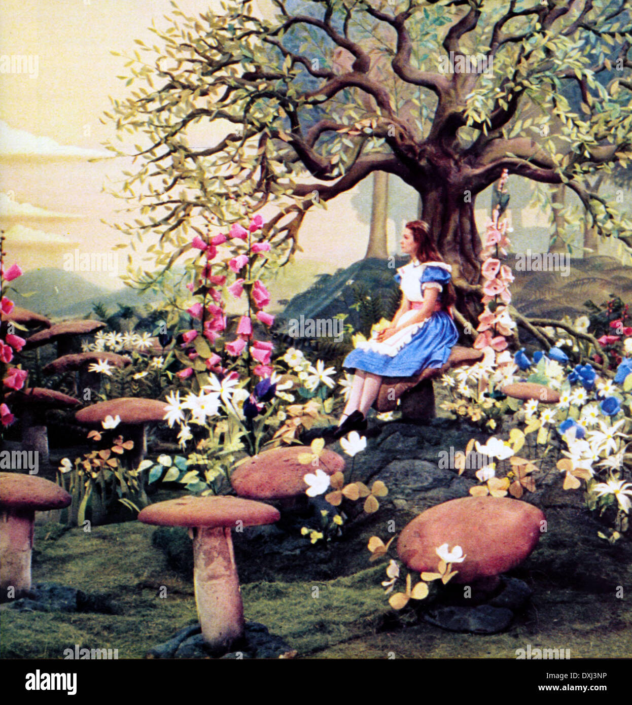 ALICE'S ADVENTURES IN WONDERLAND Stock Photo - Alamy