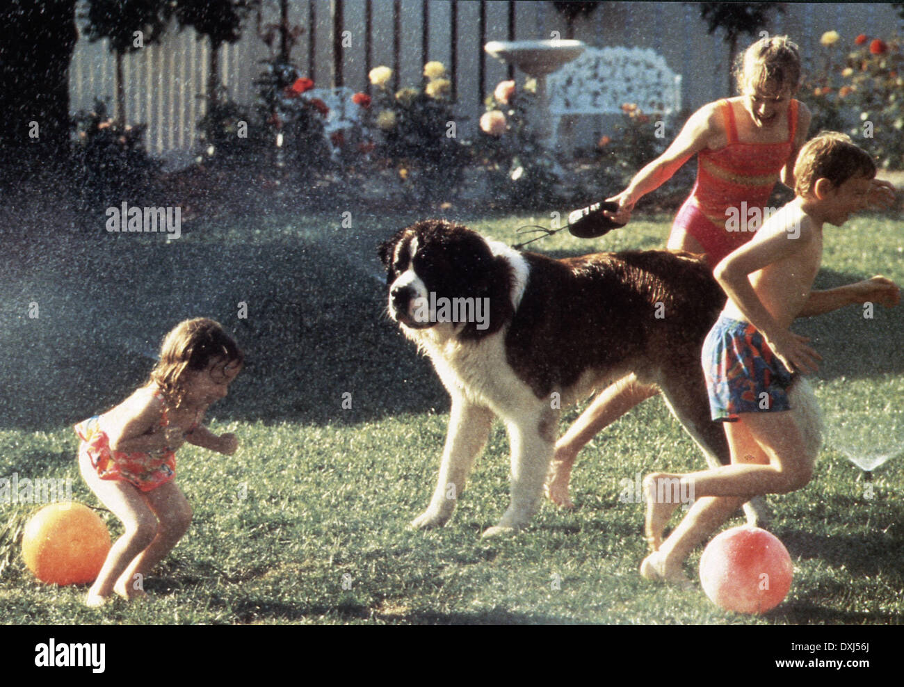Beethoven film 1992 hi-res stock photography and images - Alamy