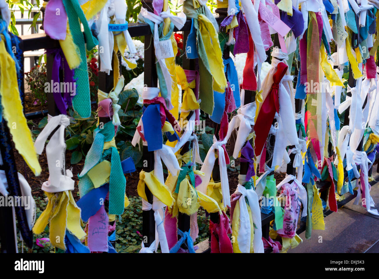 Prayer ribbons for the victims of the Boston Marathon bombings tied to ...