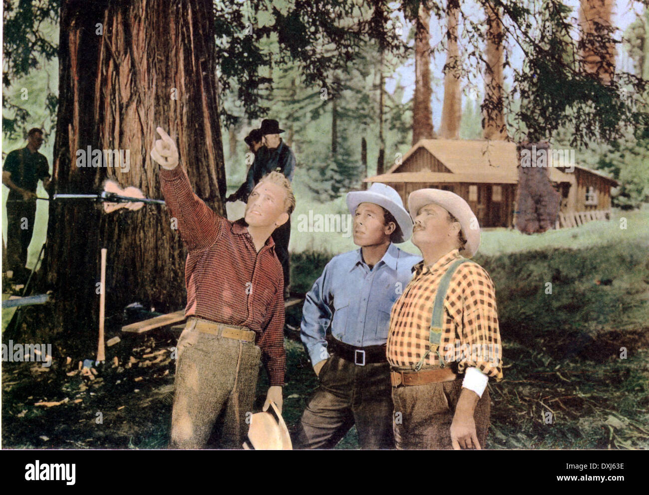 THE BIG TREES Stock Photo - Alamy