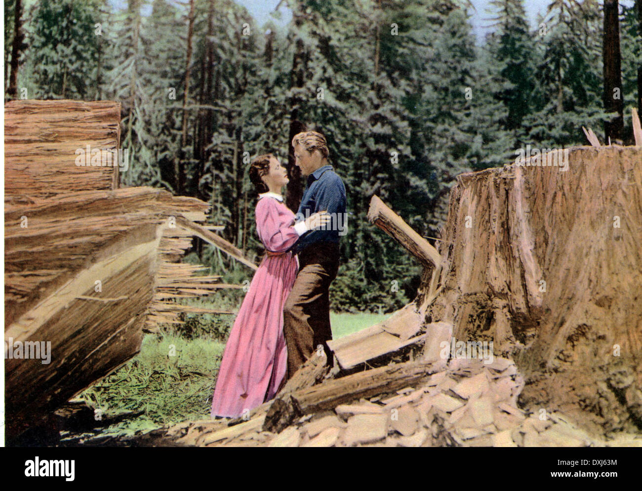 THE BIG TREES Stock Photo - Alamy