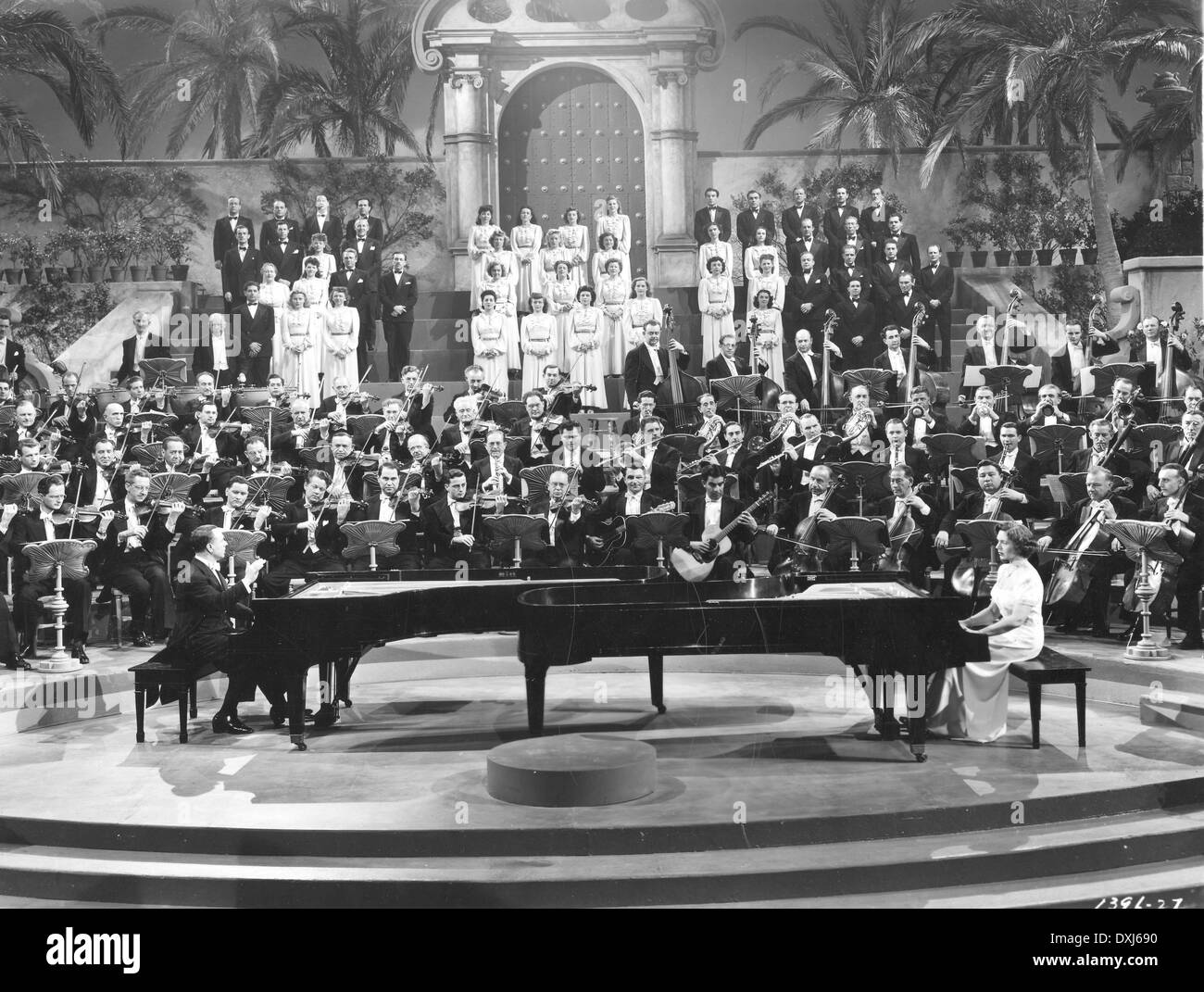 Birds picture Black and White Stock Photos & Images - Alamy