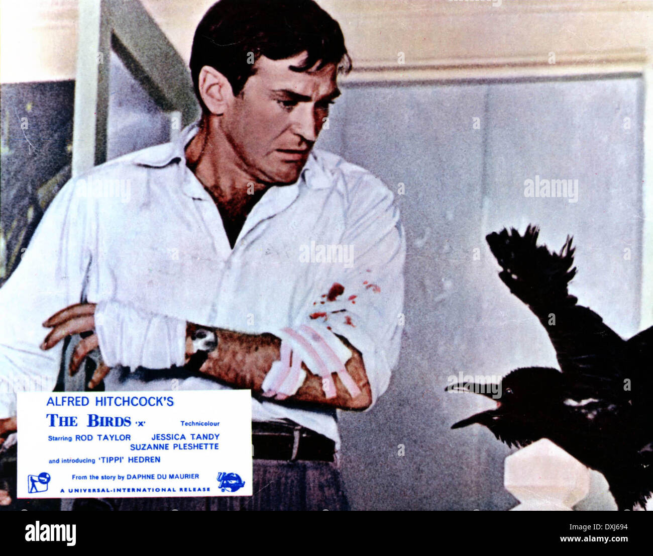 Birds 1963 rod taylor hi-res stock photography and images - Alamy