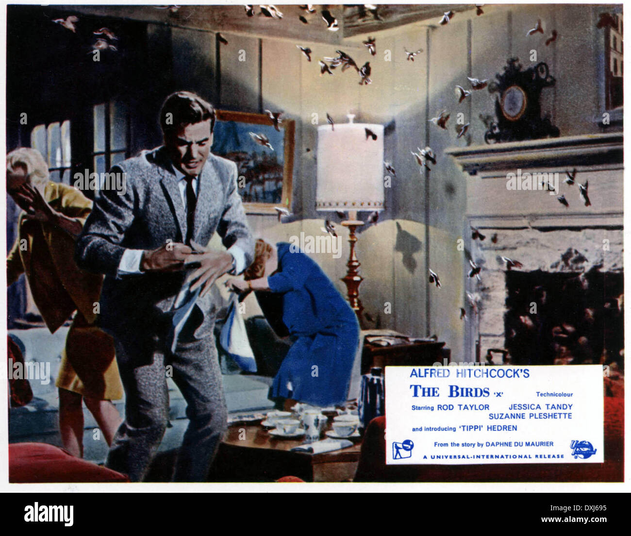 Birds 1963 rod taylor hi-res stock photography and images - Alamy