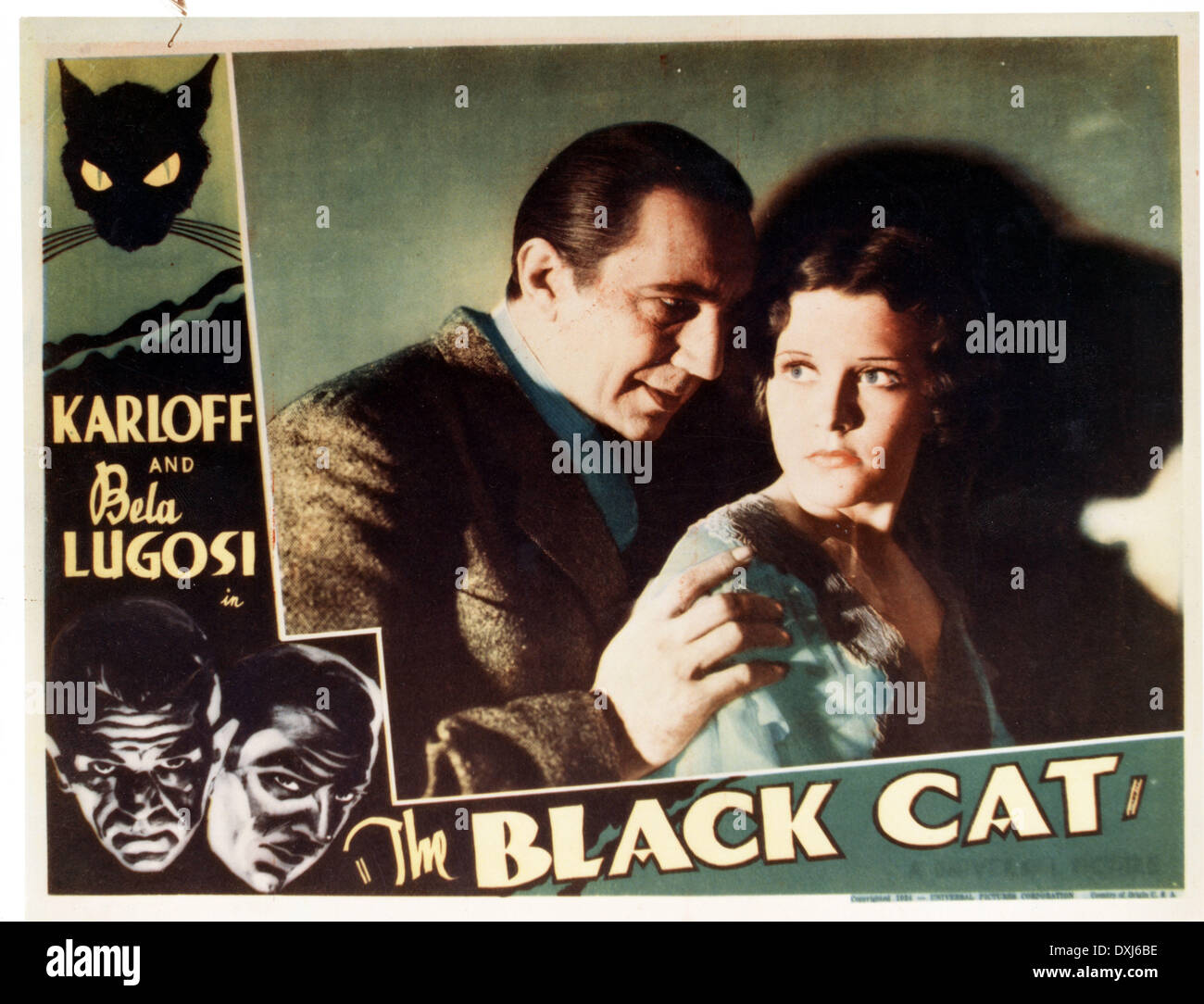 THE BLACK CAT Stock Photo - Alamy