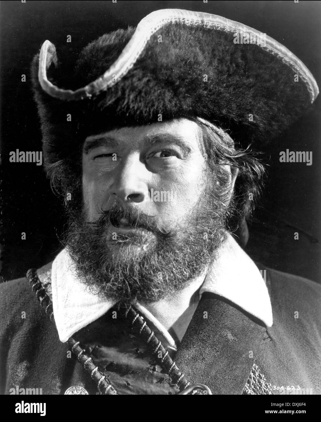 Blackbeard hi-res stock photography and images - Alamy