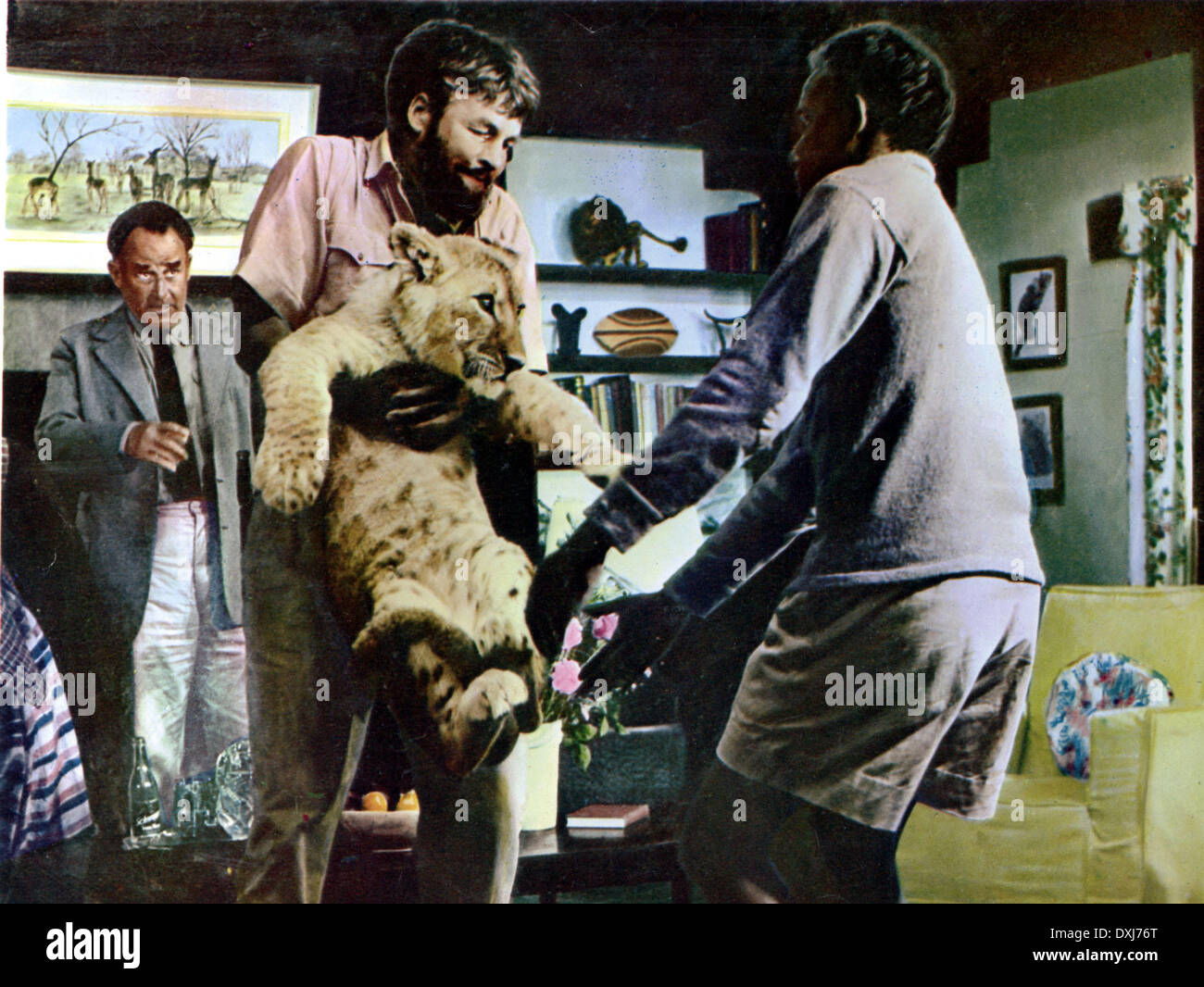 Born free movie hi-res stock photography and images - Alamy