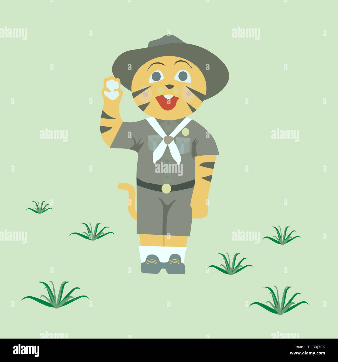 Tiger scout hi-res stock photography and images - Alamy