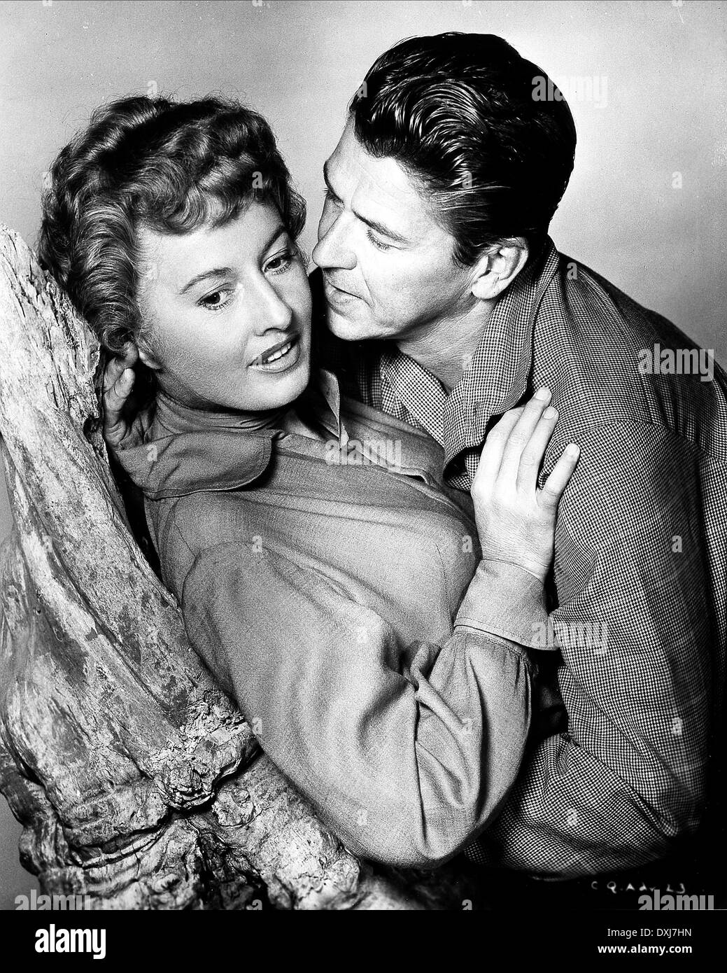 CATTLE QUEEN OF MONTANA Stock Photo - Alamy