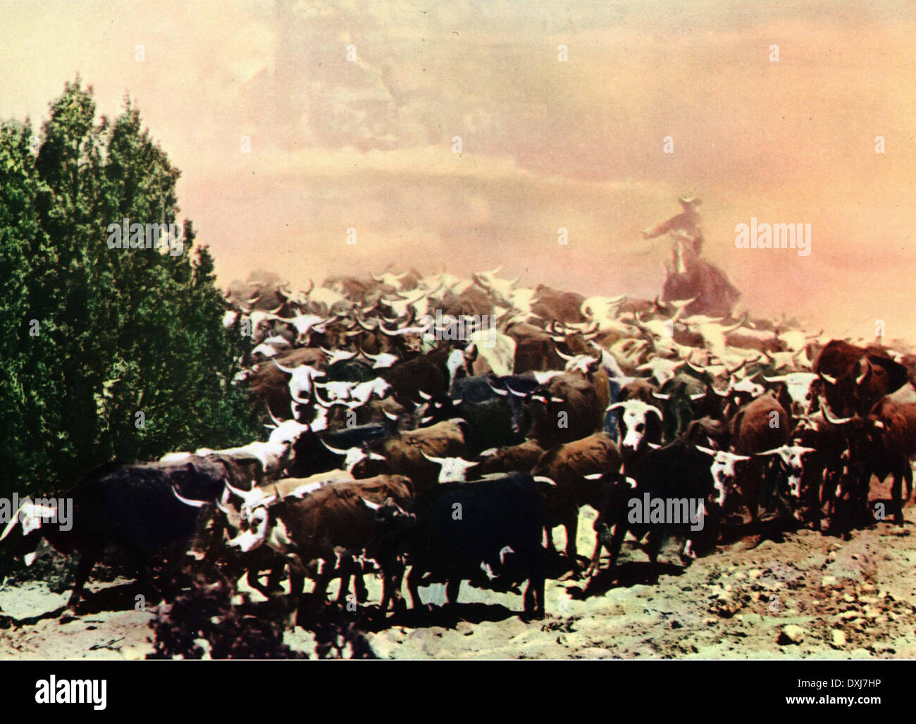 Film cowboy 1958 hi-res stock photography and images - Alamy