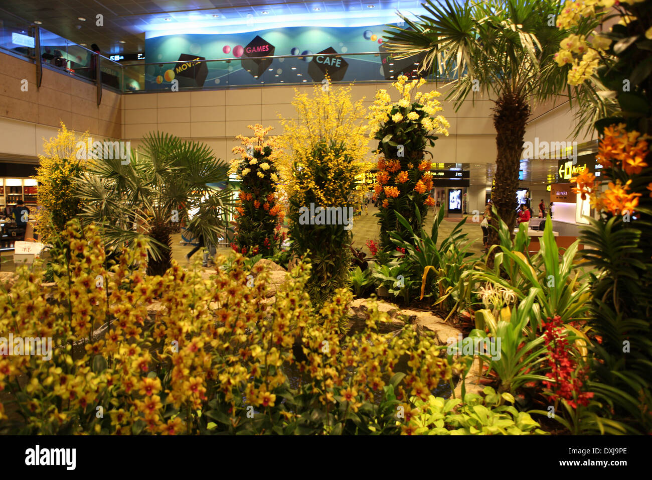 Singapore Changi Airport Stock Photo - Alamy