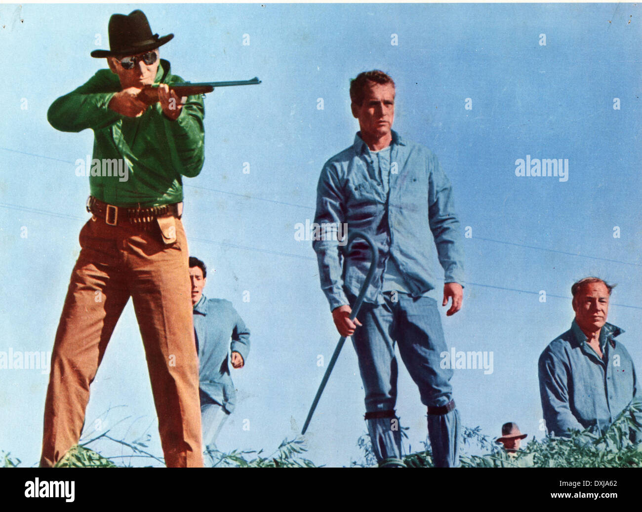 COOL HAND LUKE Stock Photo - Alamy