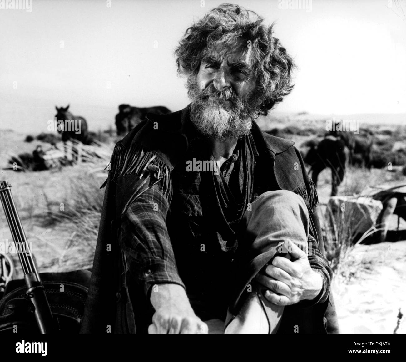 Catlow hi-res stock photography and images - Alamy