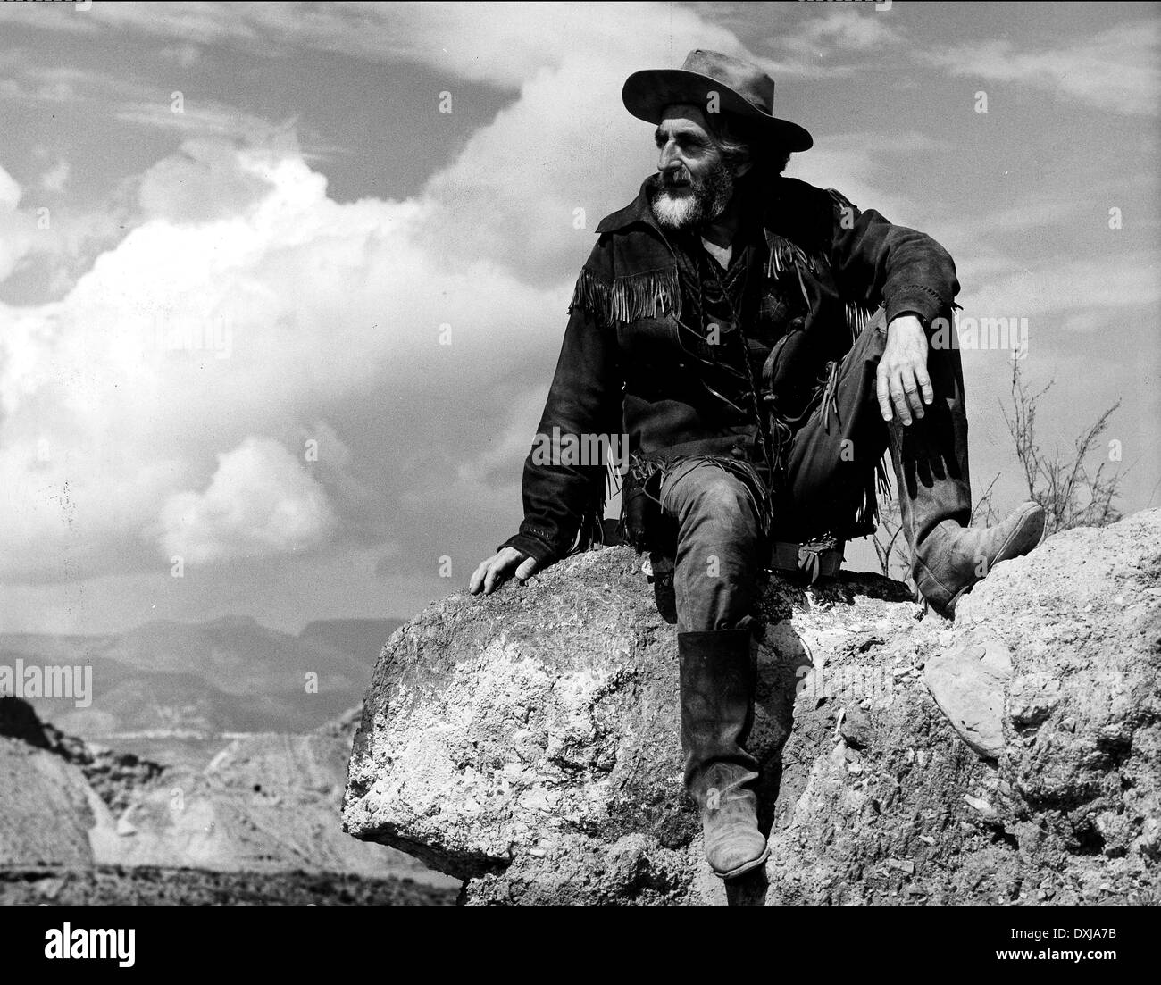 Catlow hi-res stock photography and images - Alamy