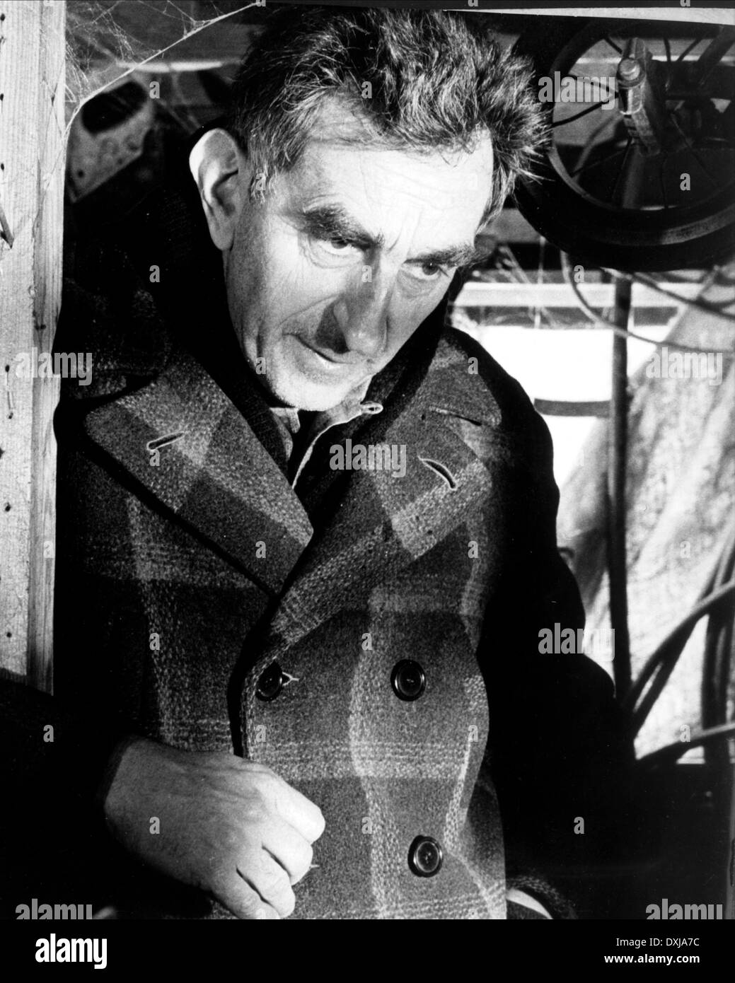 IN COLD BLOOD Stock Photo - Alamy