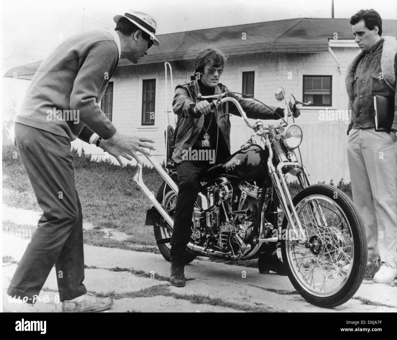 WILD ANGELS Stock Photo: 68015347 - Alamy